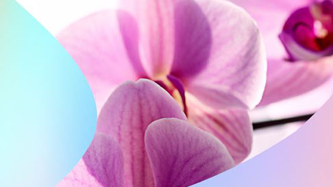 Spa Mio: Organic Spa & Salon | M Resort Las Vegas