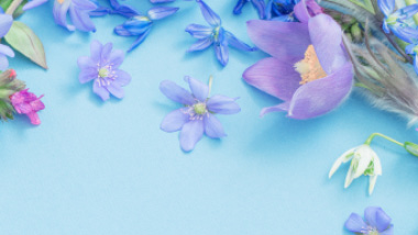 Monthly Casino Promotions | M Resort Spa Casino Las Vegas